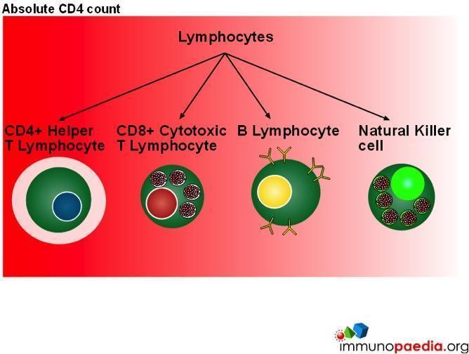 Immunology Diagnostic Tests | Immunopaedia