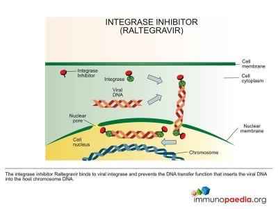 HIV ARV Drug Information | Immunopaedia