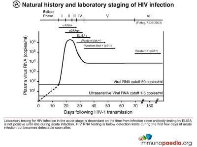 natural-history-and-laboratory-staging-of-hiv-infection | Immunopaedia ...
