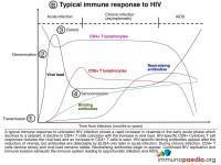 HIV Acute retroviral syndrome Case Study | Immunopaedia