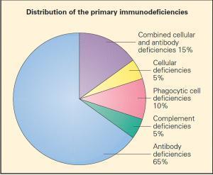 Primary Immunodeficiencies | Immunopaedia Immunopaedia