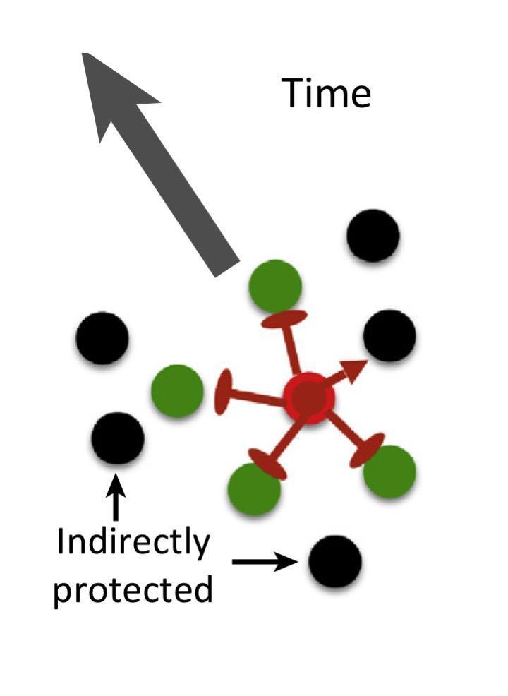 Herd Immunity: immunology meets public health | Immunopaedia