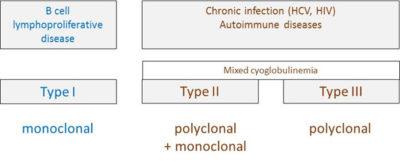 HCV associated mixed cryoglobulinemia vasculitis | Immunopaedia