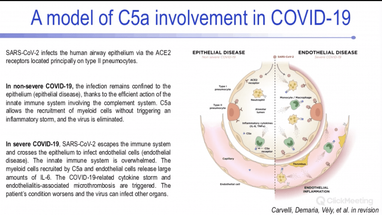 IUIS Webinar: Involvement of C5a-C5aR1 axis in COVID-19 pathology ...