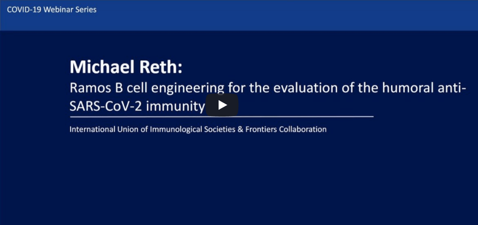 IUIS Webinar: Utilising Ramos B cell engineering to measure SARS-CoV-2 ...