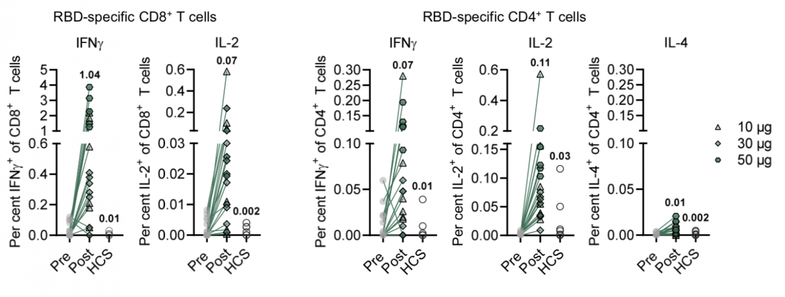 RNA-based vaccine BNT162b1 induces robust IgG and T cell immunity ...