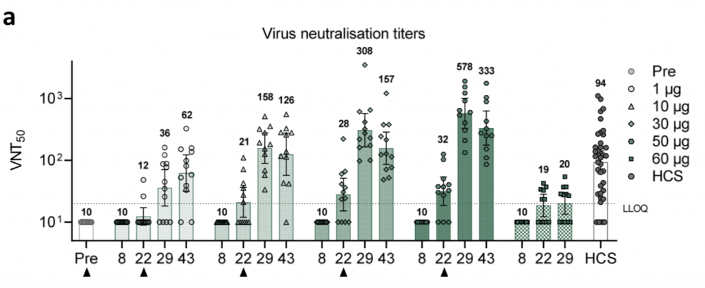 RNA-based vaccine BNT162b1 induces robust IgG and T cell immunity ...