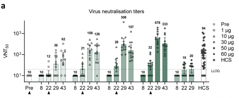 RNA-based vaccine BNT162b1 induces robust IgG and T cell immunity ...