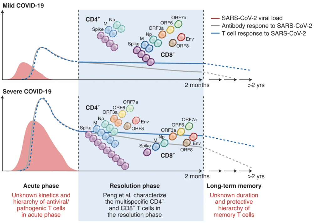 Inclusion Of Non Spike Proteins In Sars Cov 2 Vaccines May Be Important