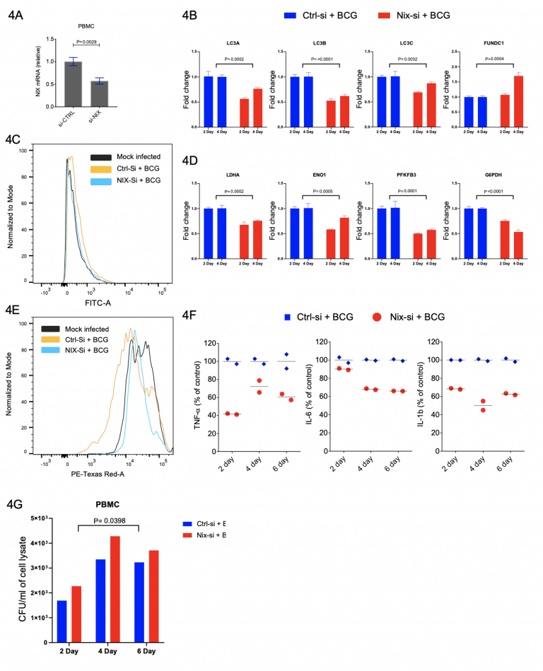 NIX is essential for systemic metabolic reprogramming of immune cells ...