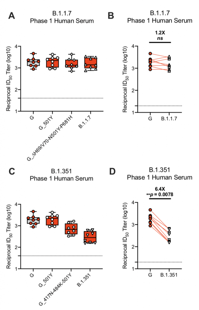 Mutations in SARS-Cov-2 B.1.351 variant reduces vaccine induced Ab neutralisation | Immunopaedia