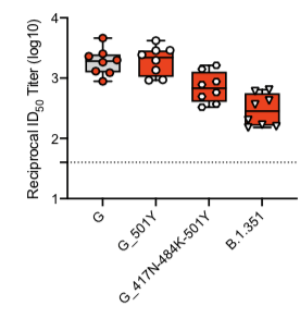 Mutations in SARS-Cov-2 B.1.351 variant reduces vaccine induced Ab neutralisation | Immunopaedia