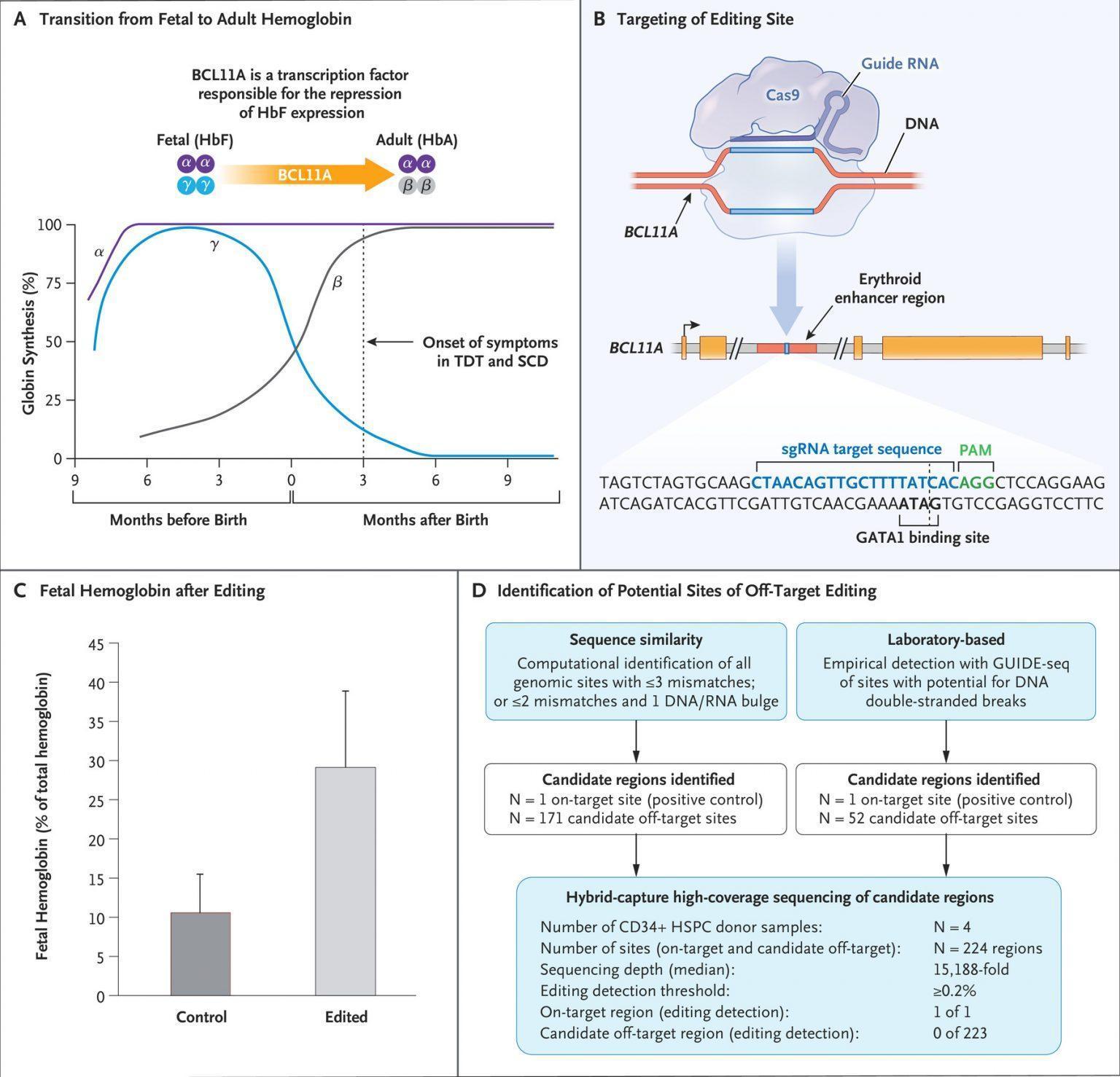 Gene editing as a potential sickle cell disease immunotherapy ...