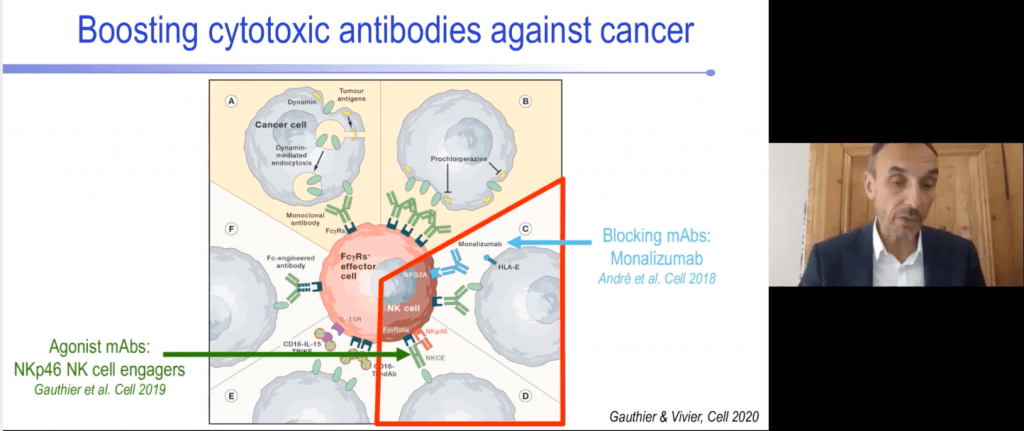 Webinar on harnessing innate immunity from cancer therapy to COVID-19 ...