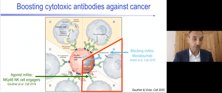 Webinar on harnessing innate immunity from cancer therapy to COVID-19 ...