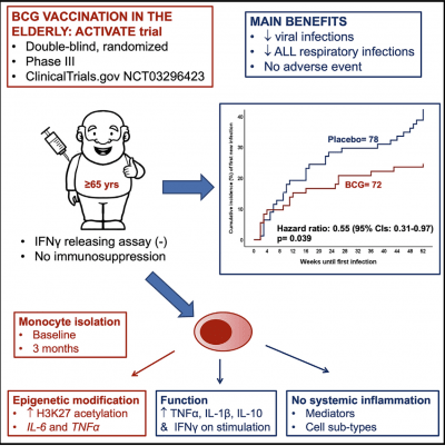 BCG vaccination reduces infection in the elderly | Immunopaedia ...