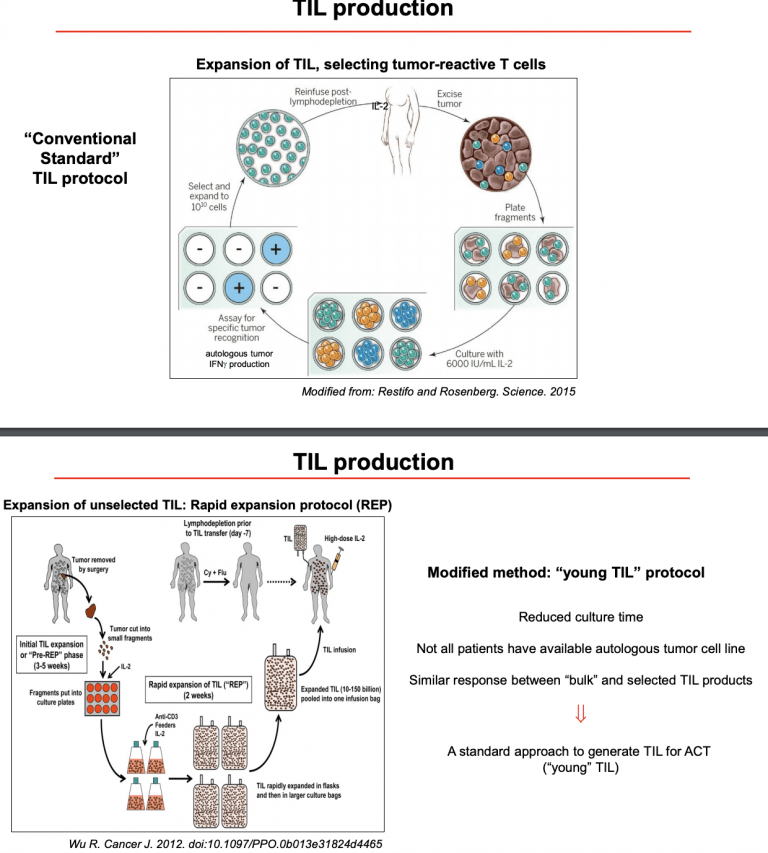 Immuno-Colombia: Tumour infiltrating lymphocyte therapy (Part 2 ...