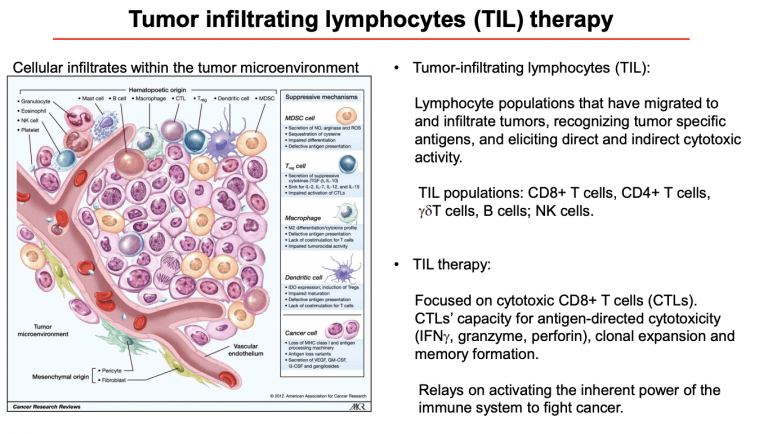 Immuno-Colombia: Tumour infiltrating lymphocyte therapy (Part 1 ...