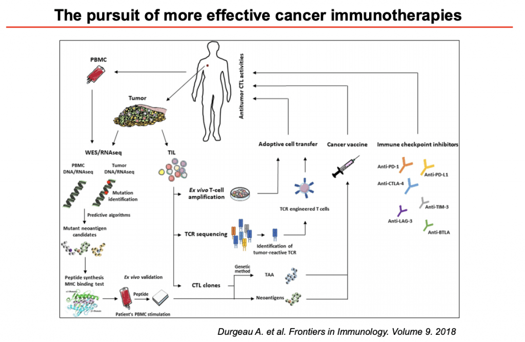 Immuno-Colombia: Tumour infiltrating lymphocyte therapy (Part 2) | Immunopaedia