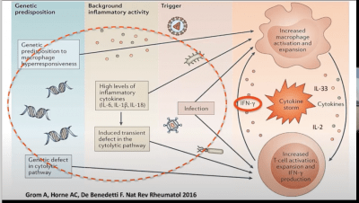 IUIS-Immunopaedia-Frontiers Webinar: Clinical representation of ...