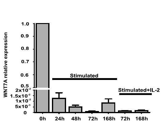WNT7A: The new marker for resting T cells | Immunopaedia
