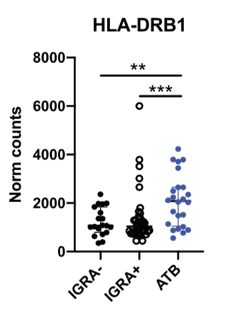 What does HLA-DR expression on CD4 T cells indicate? | Immunopaedia