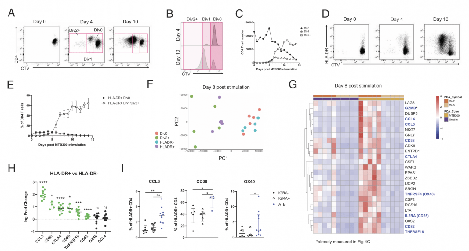 What does HLA-DR expression on CD4 T cells indicate? | Immunopaedia