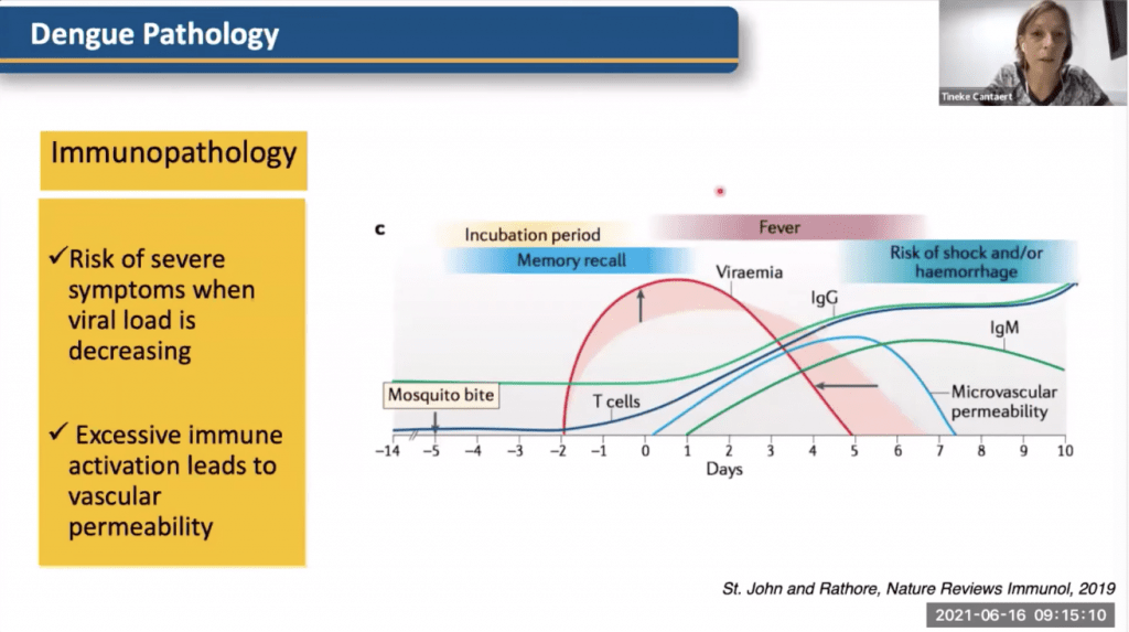 Global Immunotalks Highlight: Immune responses after dengue virus infection: friend or foe ...