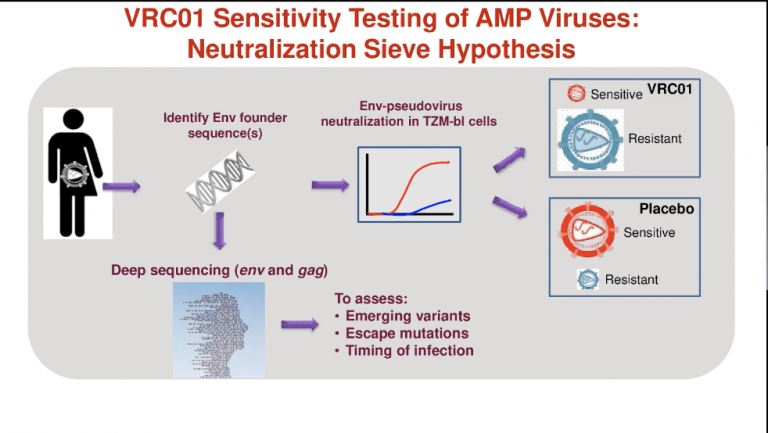 IUIS Webinar: HIV prevention- antibodies and vaccine development (part ...