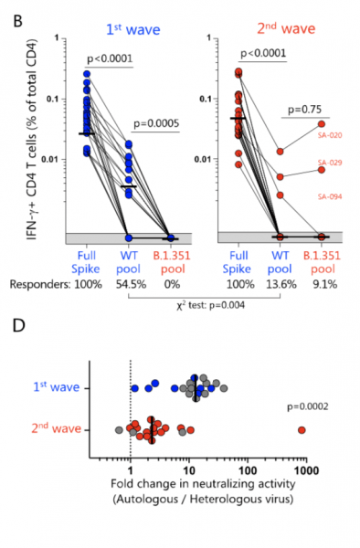 Does B.1.351 SARS-CoV-2 variant escape T cell immune responses? | Immunopaedia
