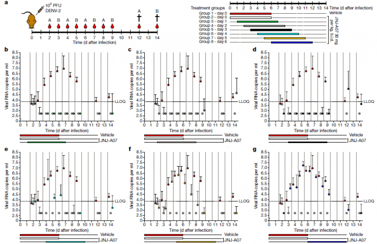A novel inhibitor of dengue virus | Immunopaedia Immunopaedia