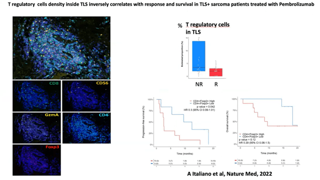 Shaping of anti-tumor immunity in the tumor microenvironment | Immunopaedia