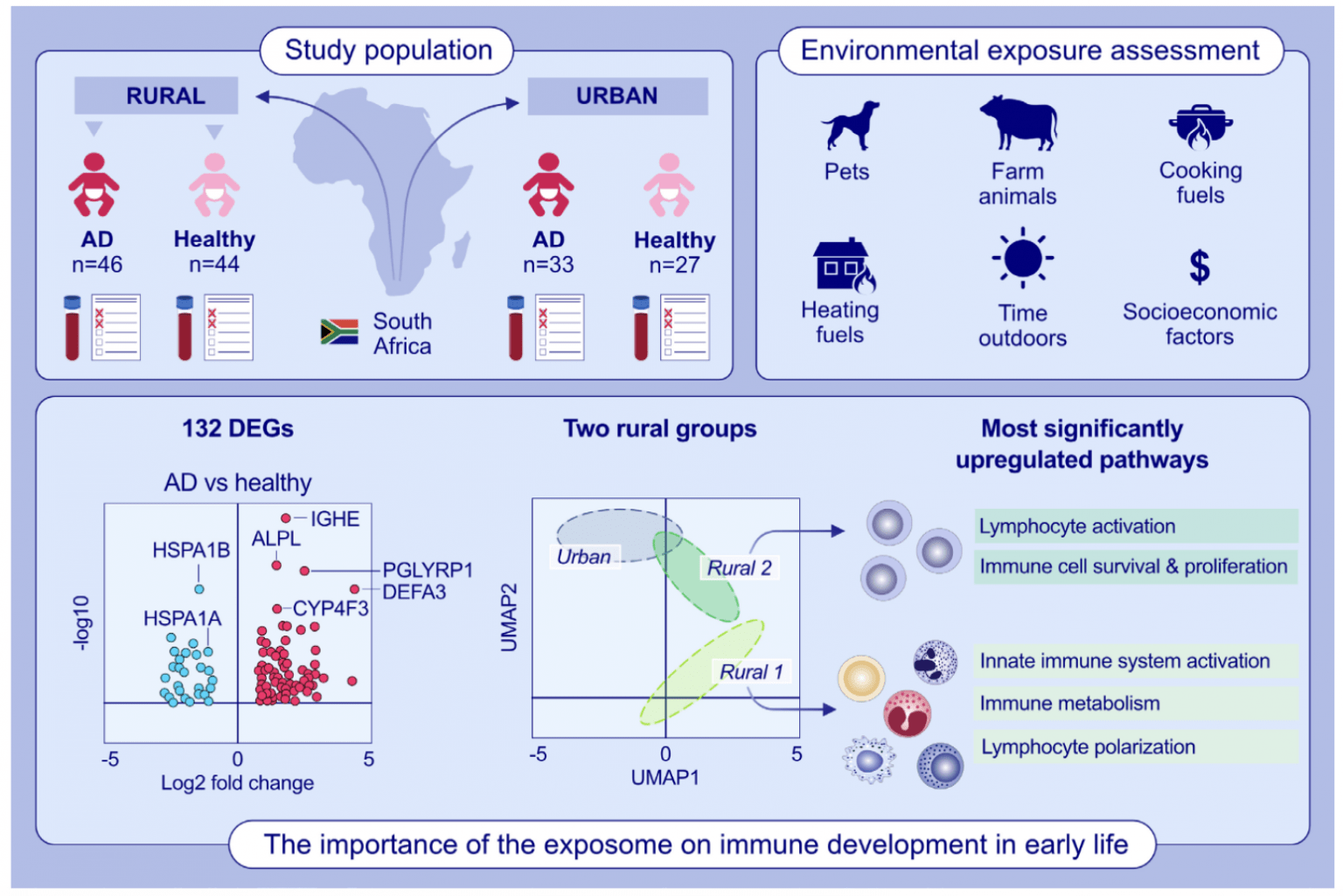 More robust immune systems in children from rural areas | Immunopaedia ...