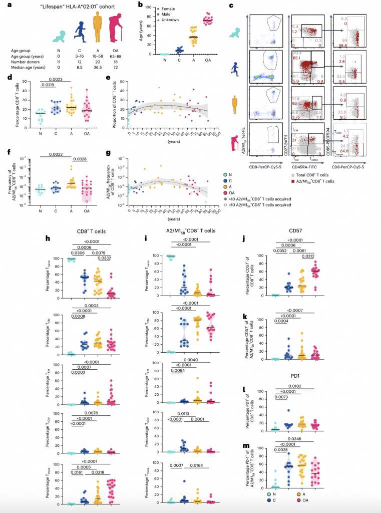 Elders’ vs new-borns and children – insights into immune phenotypes ...