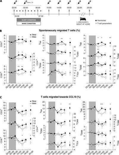 Sleep can strengthen your immune response | Immunopaedia Sleep can strengthen your immune response | Immunopaedia