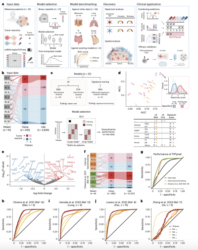 AI Paves the Way for Personalized Cancer Immunotherapy with Powerful T ...