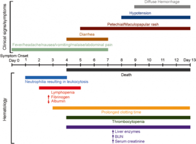 Sudden onset of fever, fatigue, myalgia, and headache | Immunopaedia ...