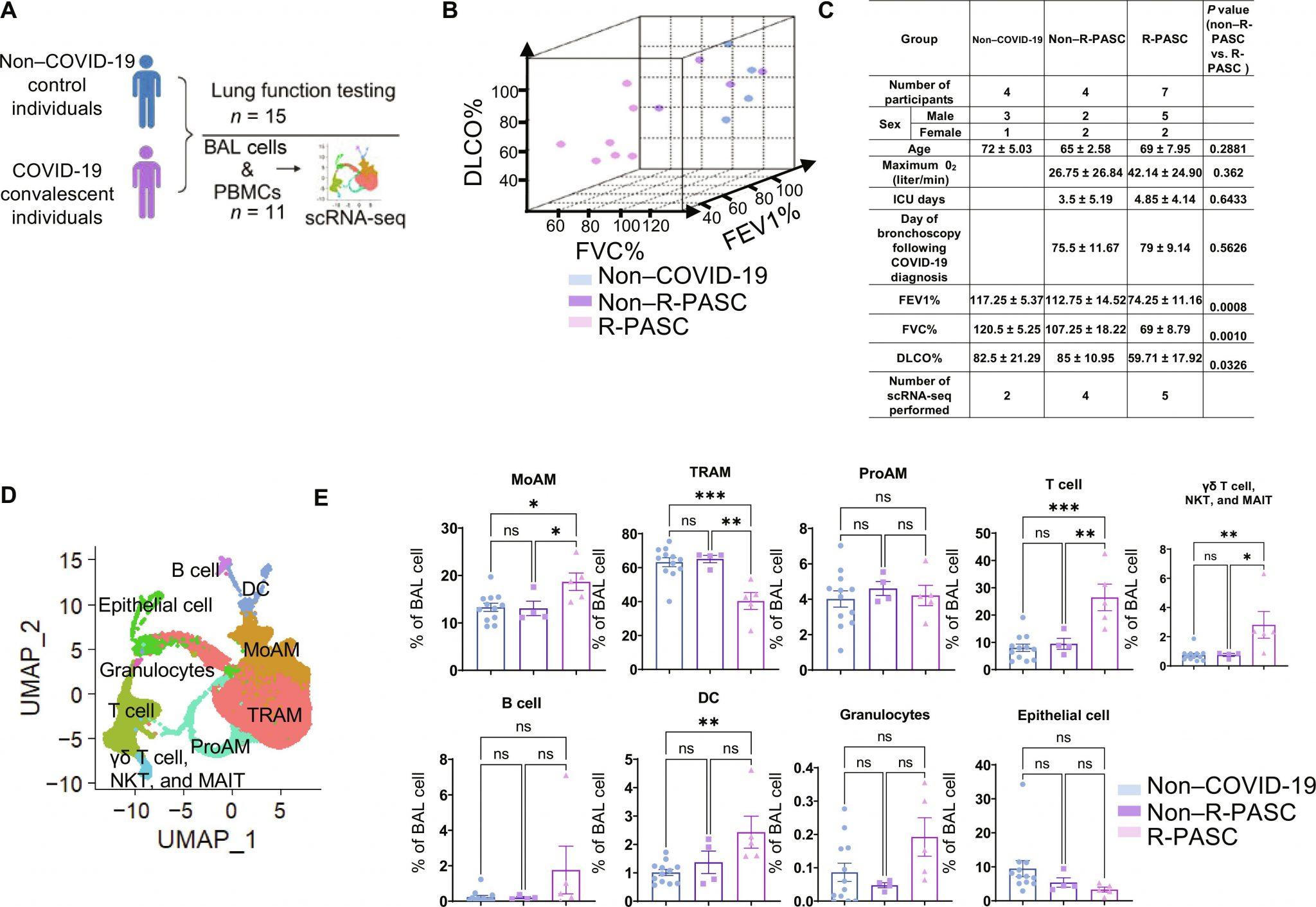 A Potential Breakthrough in Long COVID Treatment | Immunopaedia