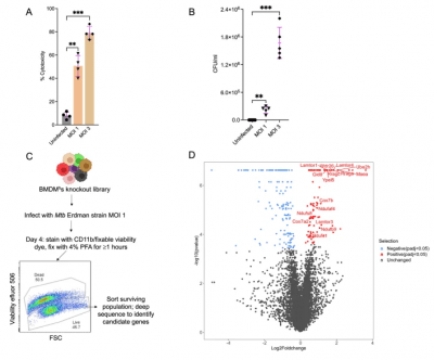 Dual Role of the GID Complex in Cancer and Tuberculosis Opens Doors to ...