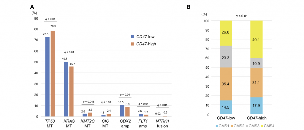CD47 – new insights into treatment of colorectal cancer | Immunopaedia