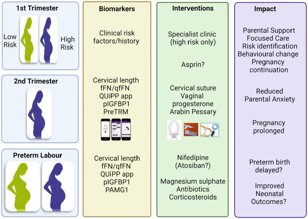 fmed-11-1414428-g002 | Immunopaedia