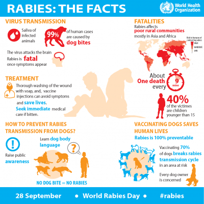 Tracking the Lethal Threat: An In-Depth Review of Rabies | Immunopaedia ...