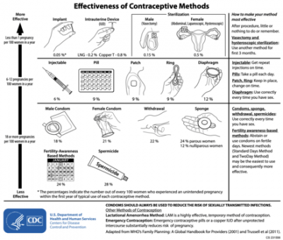 Postpartum Contraception Factors Influencing Contraceptive Choices in ...