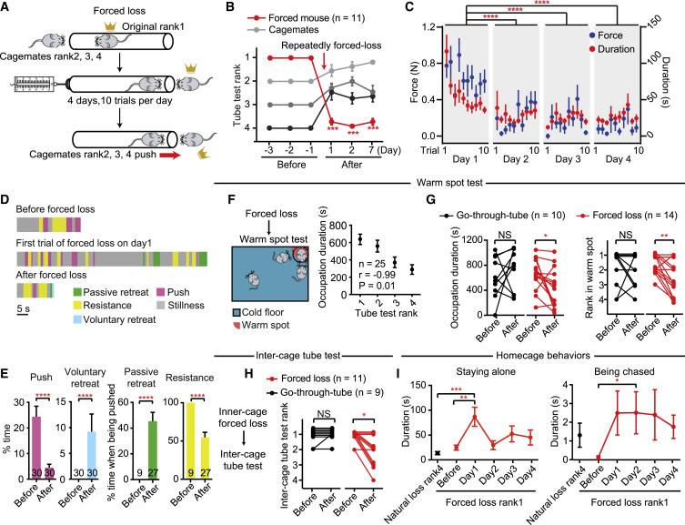 Neural Mechanisms Underlying Depressive-Like States Associated with ...