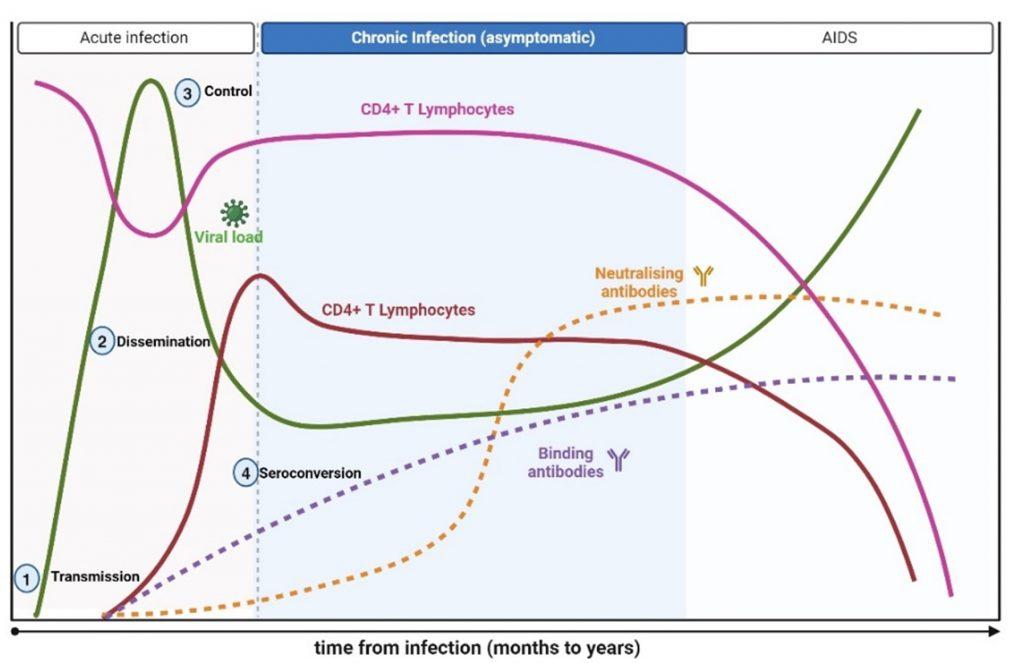 HIV Acute retroviral syndrome Case Study | Immunopaedia