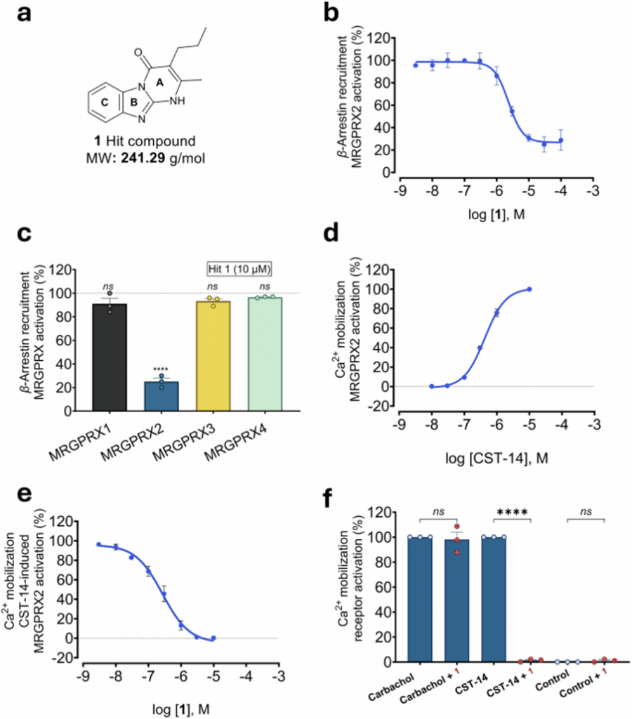 New Compound Blocks Immune Overreaction in Hard-to-Treat Conditions ...