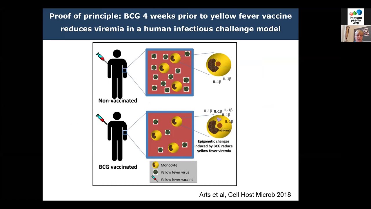 SAIS/Immunopaedia Webinar on BCG & COVID-19 | Immunopaedia