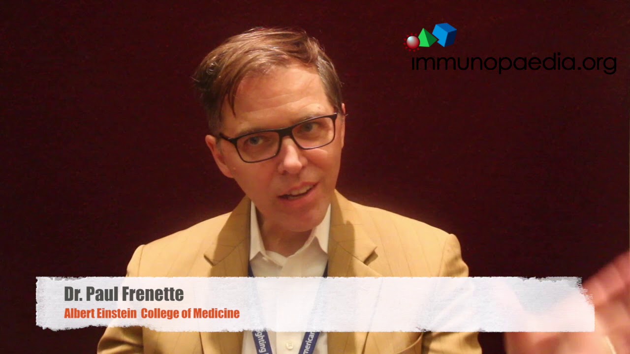 ALAI/SMI Special Video Interviews | Immunopaedia